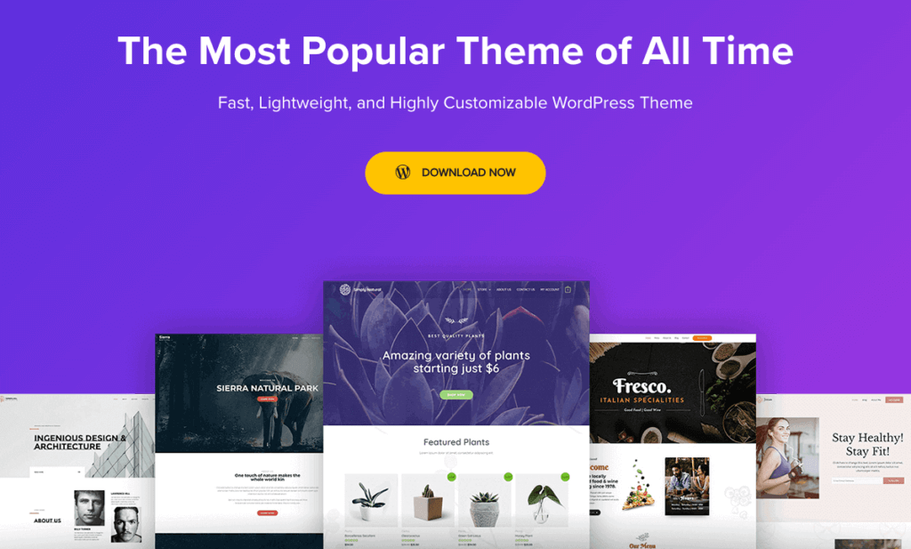 Top Elementor Themes 2025: Die 4 besten WordPress Themes für dein Projekt